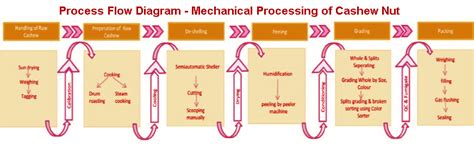 Cashew Nut Processing Flow Chart