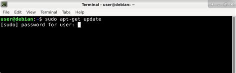 typing password in terminal without asterisks password feedback pwfeedback by default