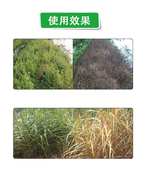 新安农兴旺 草甘膦 非耕地荒地一年生杂草恶性杂草农达除草烂根剂 阿里巴巴