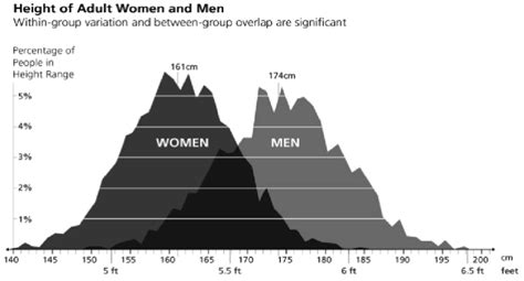 Within Group Variation And Between Group Overlap Download Scientific Diagram