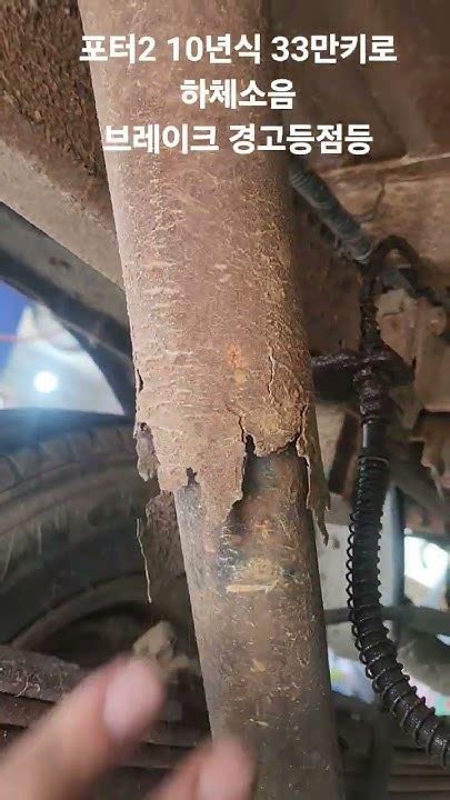 포터2 10년식34만키로브레이크파이프 터짐판스프링 부러짐어퍼암볼 소음급한거만 해주세요다급한것같은데 포터2 판스프링 부식 브레이크파이프 Youtube