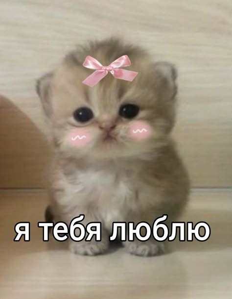 Крутие обои для телефона Коричневые обои Дизайн кредитной карты Милые обои