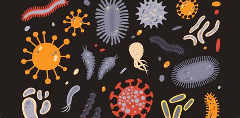 Gabriel Comment Sont Apparus Les Microbes Et à Quoi Servent Ils