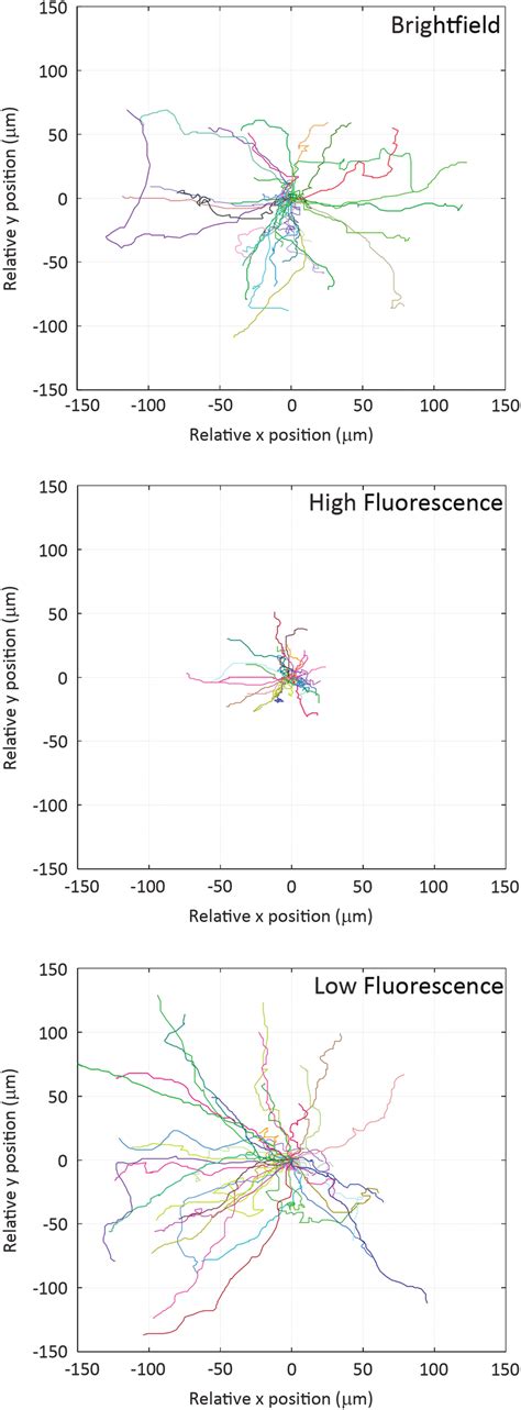 Rose Plots Of Cell Migration Tracks Cell Migration Tracks Are Shown