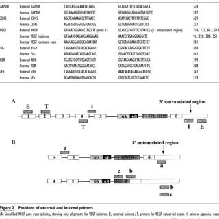Nested PCR Primer Sequences Download Table