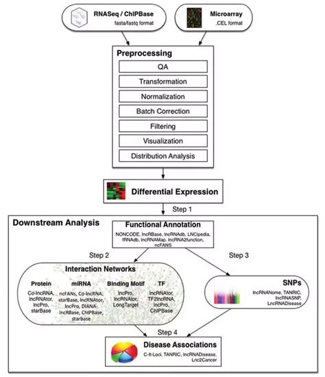 Non Coding Rnas Chenyuan