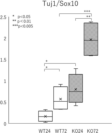 Threshold Area Of Tuj1 Expressionsox10 Expression Tuj1sox10 In