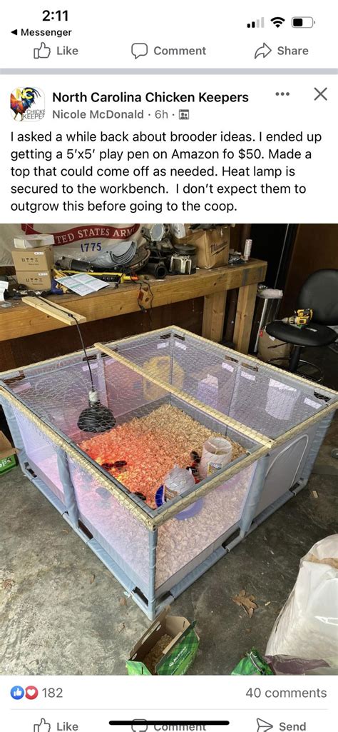 Cute Chicken Coops For Backyard Chickens