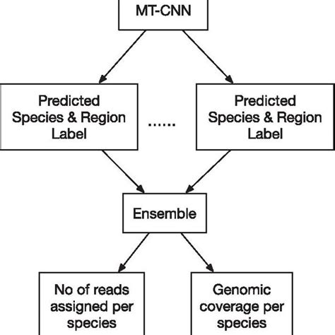 Overview Of The Mt Cnnbayesian Pipeline The Pipeline Incorporates A Download Scientific
