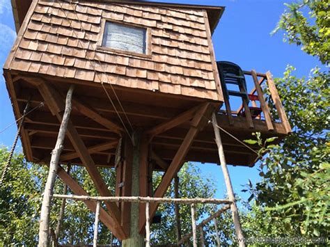 Pin On How To Build A Treehouse Without Tree