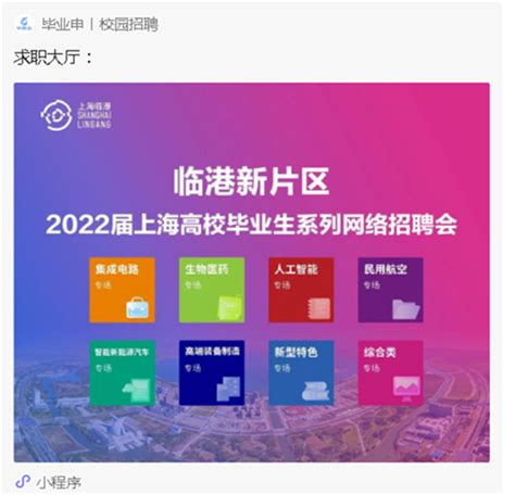 临港新片区丨2022届上海高校毕业生系列网络招聘会（第三批）