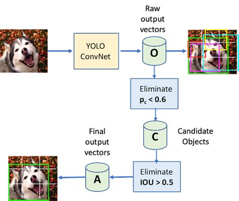 Real Time Object Detection Using Yolo Imerit