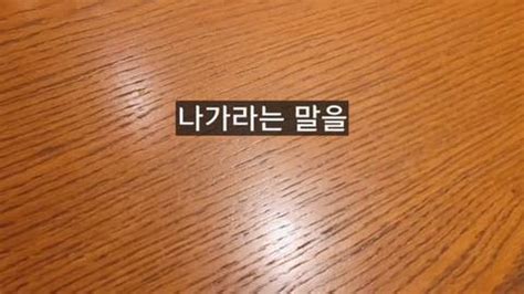 스타벅스에서 공짜인 것 인스티즈 instiz 이슈 카테고리