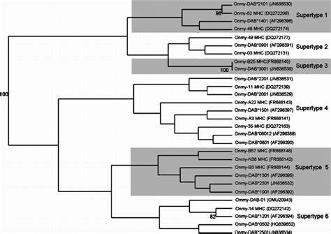 Phenetic Tree Based On A Cluster Analysis Ward S Algorithm Defining