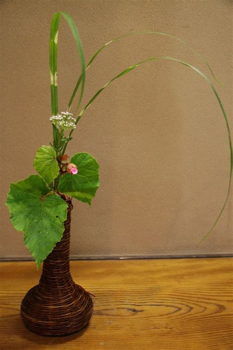 季節の茶花 養和会 塩月弥栄子の茶室 秋海棠 生け花のアレンジ 生け花