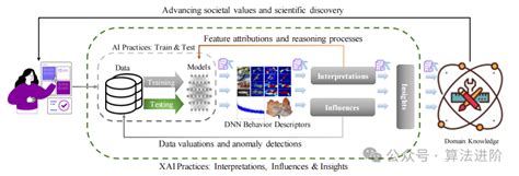 “ai”科普丨人工智能（xai）可解释性的研究进展！数据模型方法