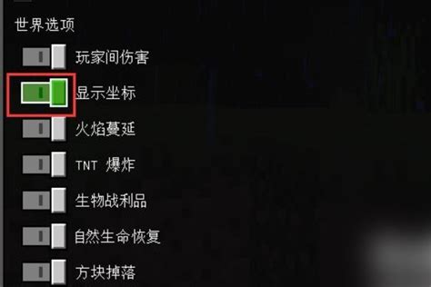 我的世界1122怎么看坐标 我的世界1122看坐标方法 梦幻手游网