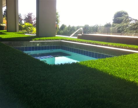 Pool With Grass Around
