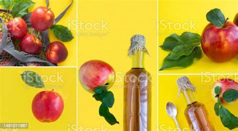 콜라주 유리 병에 사과 사이다 식초와 노란색 배경에 사과 클로즈업 공간을 복사합니다 0명에 대한 스톡 사진 및 기타 이미지 0명 가방 가을 Istock