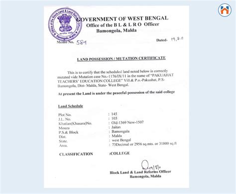 What Is Mutation Of Property And Why It Is Important