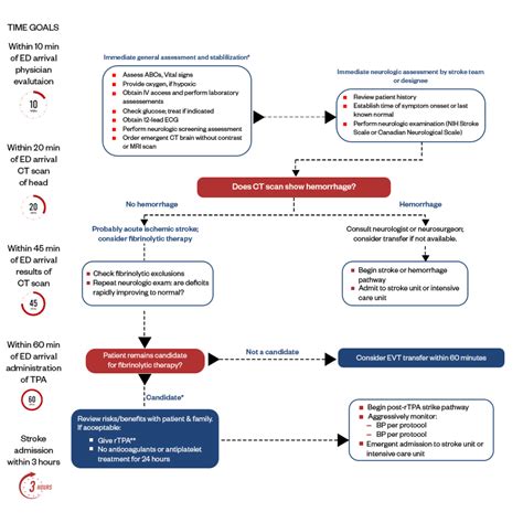 AHA ACLS Algorithms Flowcharts 2020 2025 Emergency Cardiovascular Care Protocols