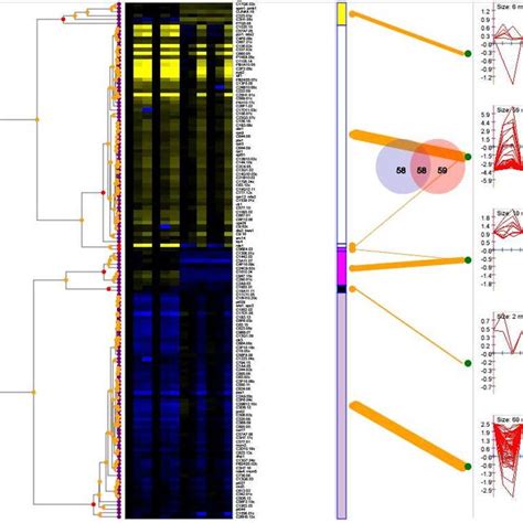 A Comparison Of The Hierarchical Clustering Of Correlation Based
