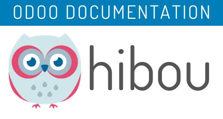 Learn Odoo Studio Hibou Io