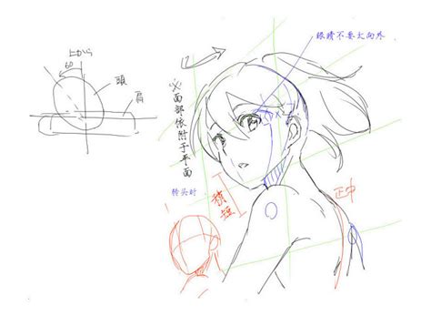 绘画教程 汉化 关于转头 转身 动作的研 来自原画人官方微博 微博