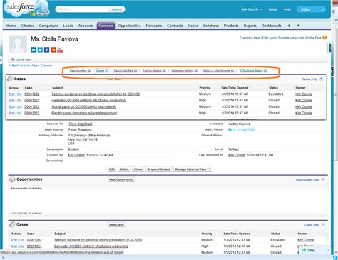 visualforce how to get a snapshot of custom sections in standard or