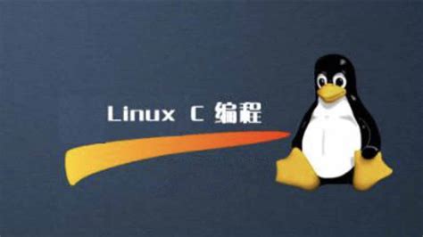 Linux 666资源论坛 Linux 666资源论坛