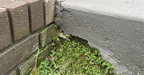 Ground Eroding Under Steps Album On Imgur