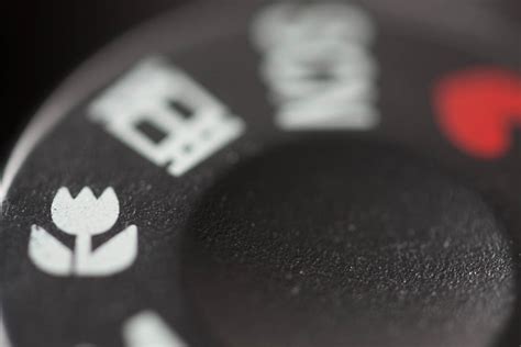 Autofocus Problems And How To Fix Them Discover Digital Photography