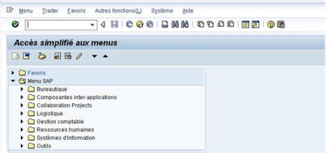 Sap Gui Logon Lenahybrid