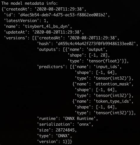 ai serving not supporting onnx models with dynamic axes · issue 2 · autodeployai ai serving