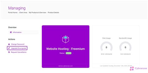 Upgrading And Downgrading Cybrancee Knowledgebase