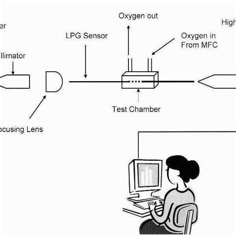 Test Setup For Characterizing The Oxygen Sensor Download Scientific Diagram