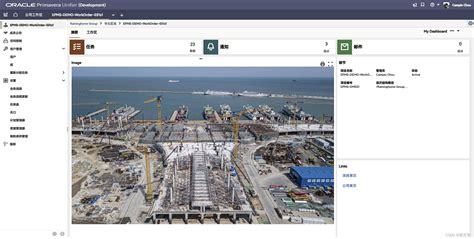 oracle项目管理之primavera unifier三种管理员模式 oracle primavera p6 怎么扩展栏位 csdn博客