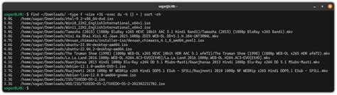 Sort Du Command Output By Size In Linux