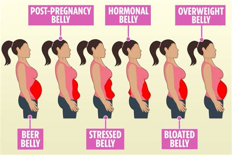 Weight Loss Booze Belly To Hormonal Tum How To Blast Your Belly Fat And Fast The Us Sun