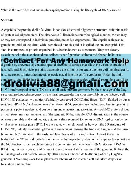 What Is The Role Of Capsid And Nucleocapsid Proteins During The Life Pdf