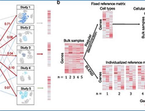 Multiomic Single Cell Dna Rna Sequencing Functional Phenotyping Of Genomic Variants Using