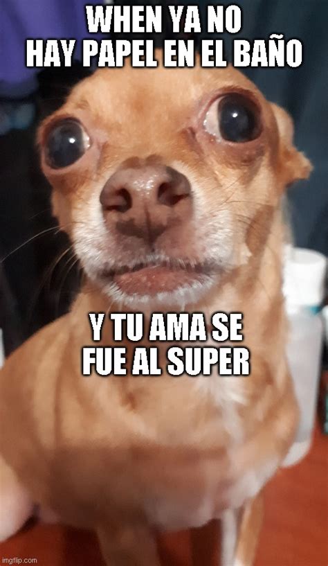 Imgflip