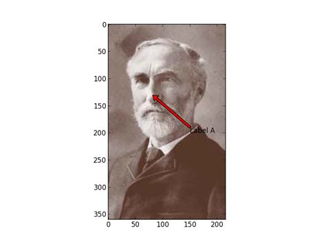 How Can I Annotate An Image In IPython Stack Overflow