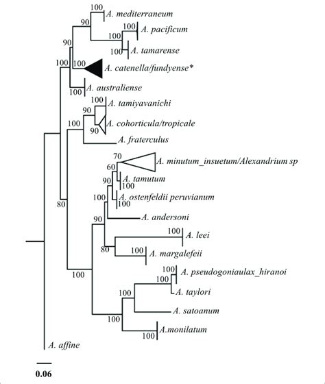 Maximum Likelihood Phylogenetic Reconstruction And Bootstrap Values