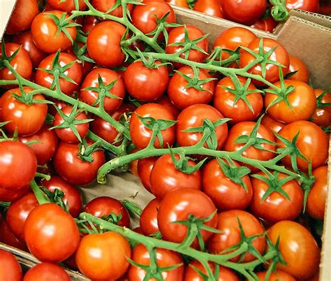 Овощи и фрукты оптом Краснодар