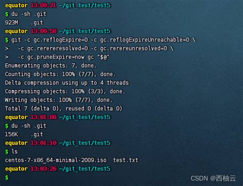 Git Git Gc Prune Now Csdn