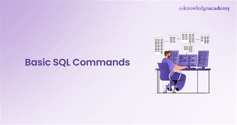Basic Sql Commands A Complete List With Examples