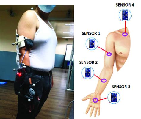 IMU Sensors Distribution Download Scientific Diagram