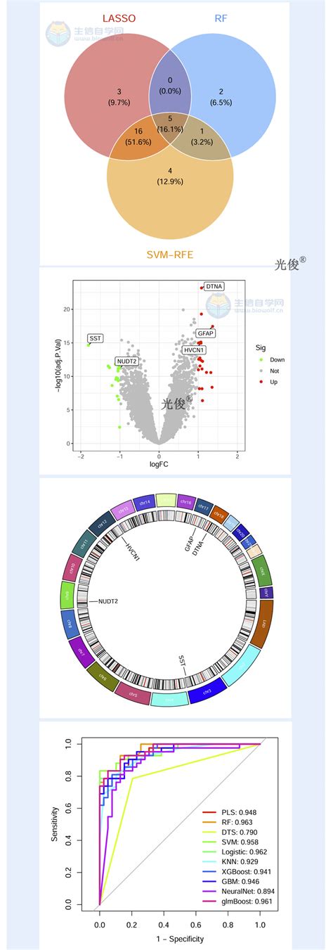 Shap可解释分析文章套路 机器学习shap分析 蜂群图 生信自学网