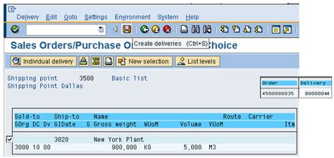 Using A Single Sap System For Stock Transport Order Processes